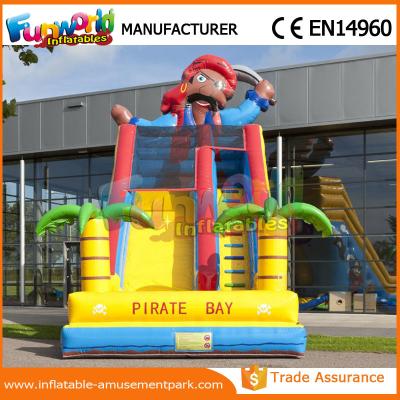 China Commercial Inflatable Dry Slide for Kids 0.55mm PVC Tarpaulin CE Certified Custom Size for sale