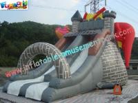 China Commercial Inflatable Slide 8L x 4W x 6H Meter Double Lane Dry Slide with CE EN14960 Certification for sale