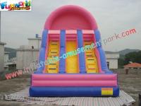 China Commercial Inflatable Double Lane Slide 9m x 5m x 7m with CE EN14960 Certification for sale
