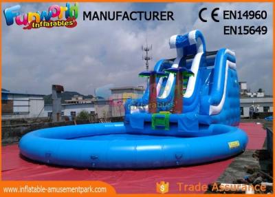 China Customizable Giant Blue Inflatable Water Slide 220V 110V for Amusement Park for sale