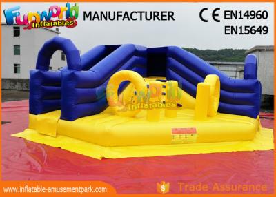 China Amusement Park Commercial Inflatable Slide / Blow Up Bounce House for sale