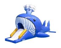 China Jumbo Inflatable Dolphin Water Slide 10m x 4m x 6m Commercial Grade Obstacle Tunnel for sale