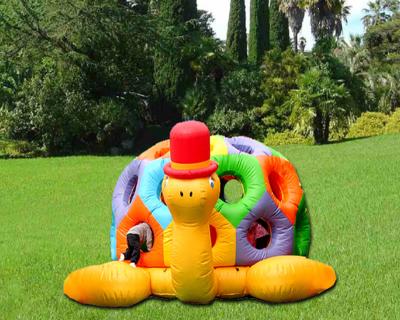 China Cartoon Tortoise Inflatable Bouncer Kids Jumping Castle Structures For Garden / Square for sale
