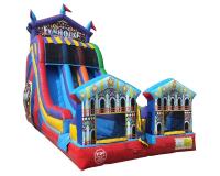China Carnival Double Lanes Inflatable Water Slide Digital Printing Multi Color for sale