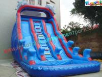 China Giant Dolphin Outdoor Inflatable Water Slide 10m x 5.5m Three Lane Pool with Blower for sale