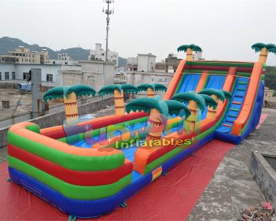 China Commercial Outdoor Inflatable Water Slide 11x5.5x5.5m PVC Slip N Slide for Events for sale