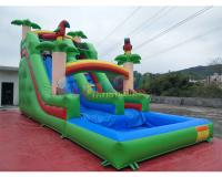 China Commercial PVC Tarpaulin Inflatable Water Slide with Pool - 9×3.6×5.5M Size, 172KG Weight, 1-Year Warranty for sale
