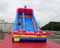 China Inflatable Outdoor Bouncy Castle Slide Elves For Events Multi Color for sale