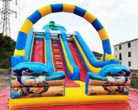 China Ocean World Dual Lane Commercial Inflatable Water Slide for sale