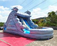 China Commercial Inflatable Water Slide with Pool - 0.55mm PVC Material, 7-Day Production, Custom Sizes Available for sale