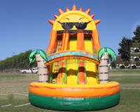 China Sunshine Inflatable Water Slide Blow Up Bounce For Backyard for sale