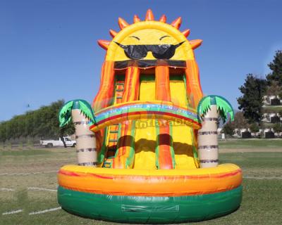 China Sunshine Inflatable Water Slide Blow Up Bounce For Backyard for sale
