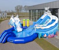 China Amusement Park Inflatable Water Slide Pool Customized Size for sale