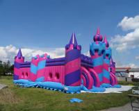 China Commercial Inflatable Bounce House 5x4.5x4.5m Adult Jumping Bouncy Castle EN71 for sale