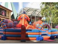 China Commercial Inflatable Bounce House 0.55mm PVC 5x4.5x4.5m Zoo Theme Bouncy Castle for sale