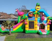 China Flamingo Jumping Inflatable Bounce House Slide Combo Multi Color for sale