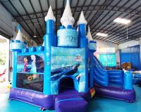 China SGS Inflatable Frozen Jumping Bouncy Castle For Gardens for sale