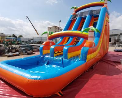 China 1000D Palm Tree Bounce House Water Slide with 110KG Capacity - Commercial Grade Inflatable for Hotels & Parties for sale