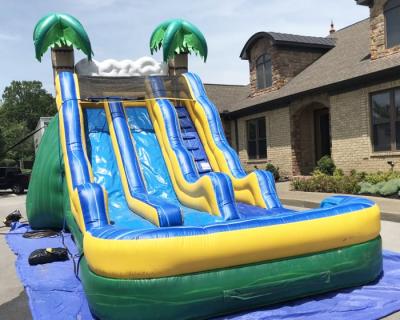 China Commercial 0.55mm PVC Outdoor Inflatable Water Slide 110kg CE Certified for sale