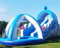China EN71 Certified Commercial Inflatable Water Slide with Bounce House - 110kg Weight, 0.55mm PVC Material for Outdoor Play for sale