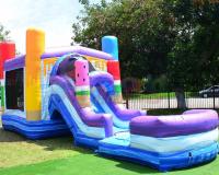 China Kids Garden Inflatable Bounce House Combo Customized Size for sale