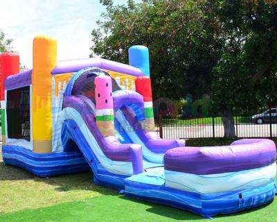 China Kids Garden Inflatable Bounce House Combo Customized Size for sale
