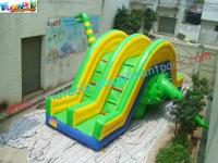 China Commercial Inflatable Water Slide 7m x 3.5m Cute Dragon Design for Children Play for sale