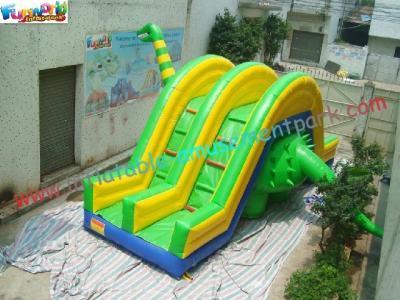 China Commercial Inflatable Water Slide 7m x 3.5m Cute Dragon Design for Children Play for sale