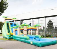China Custom 1000D PVC Inflatable Water Slide with Pool for Festival Activity 110kg for sale