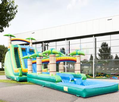 China Custom 1000D PVC Inflatable Water Slide with Pool for Festival Activity 110kg for sale