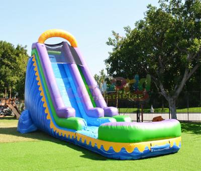 China Custom Outdoor Inflatable Water Slide Bouncy Castle with Pool 110kg CE Certified for sale