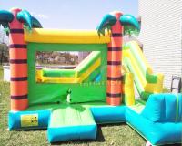 China 18OZ PVC Inflatable Bouncer Slide Castle Bounce House for sale