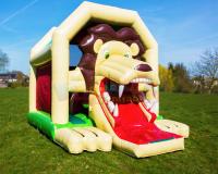 China Commercial Inflatable Bouncer Slide Combo Children Jumping Castle for sale