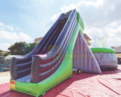 China Commercial Inflatable Jumping Castle Air Bag 12x6x2m for Adults Playground for sale