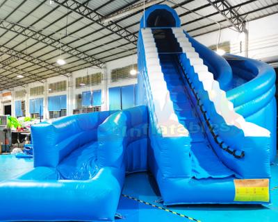China 0.55mm PVC Commercial Inflatable Water Slide with 110KG Weight and CE Certification for Outdoor Entertainment for sale