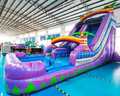 China Commercial Inflatable Water Slide Bounce House 110kg Adult Carnival Party for sale