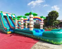 China 22ft Long Palm Tree Bounce House Pool Inflatable Water Slide Commercial Grade PVC for sale
