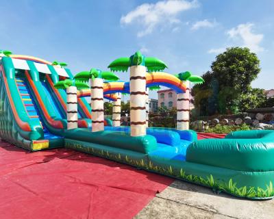 China 22ft Long Palm Tree Bounce House Pool Inflatable Water Slide Commercial Grade PVC for sale