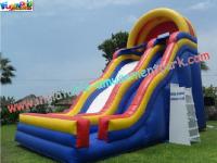 China Giant slide PVC Commercial Inflatable Slide for sale