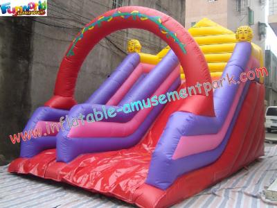China Commercial Inflatable Slide 7x4x5.5m with Thick D Anchor Points for Outdoor Rentals for sale