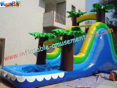 China Childrens Outdoor Inflatable Water Slide 10m x 2.7m for Parties Amusement Park for sale