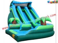 China Commercial 10×5.5×6 Meter Inflatable Water Slide for Rental & Water Parks - 190KG Heavy-Duty Construction for sale