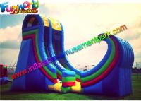 China Commercial Inflatable Slide 0.55mm PVC with Air Blower for Adults and Kids for sale