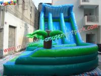 China Commercial Inflatable Water Slide 10m x 5.5m x 6.5m 0.55mm PVC Outdoor Coco Theme for sale