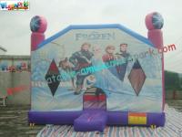 China Customized 5 in 1 Combo Bounce House Jumper 0.55mm PVC Tarpaulin 5.4m x 4.8m for sale