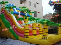 China Commercial Inflatable Dinosaur Slide 10x5x7m PVC Tarpaulin Dry Slide for Rent for sale
