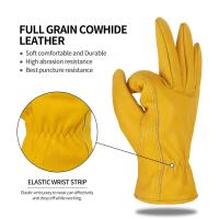 China 100% Genuine Cowhide Pasted Cuff Driver Split Leather Work Gloves Anti Smash for sale