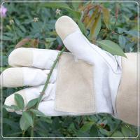 China Thornproof Leather Gauntlet Gardening Gloves for sale