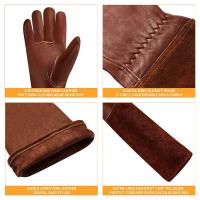China Rose Pruning Goatskin Palm Long Sleeve Gardening Leather Gloves Thornproof for sale