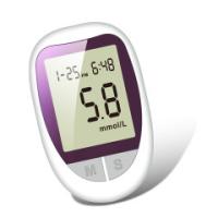 China Portable Code Free Blood Glucose Meter for Hospital Homecare Use Model WL-XTY03 for sale